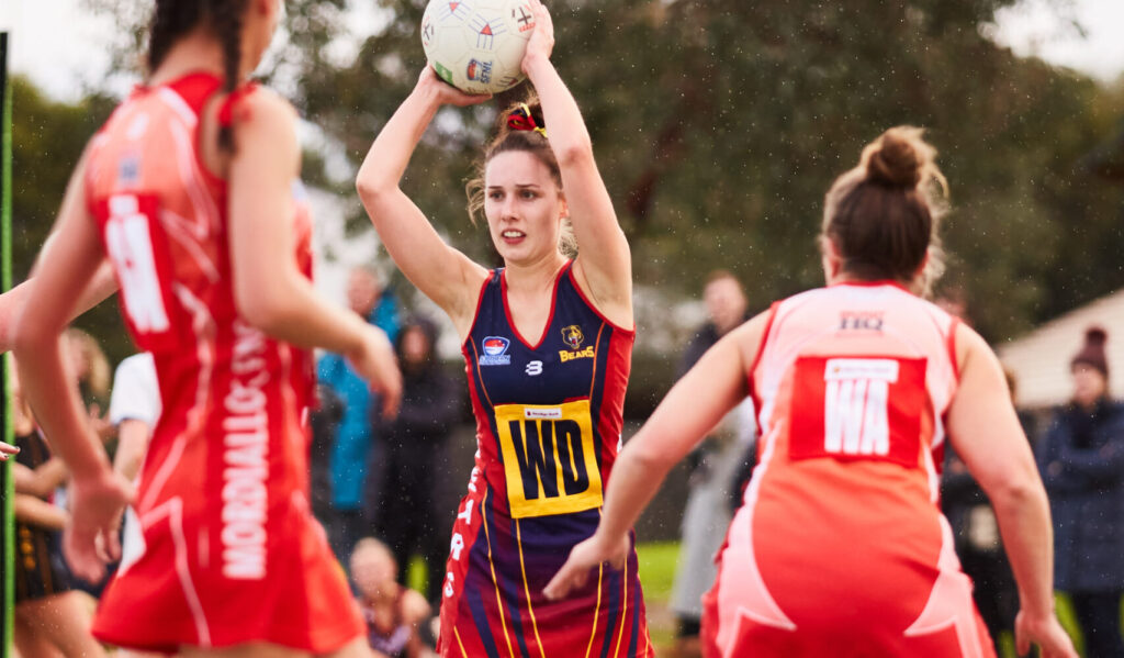 Netball Club Hub | SFNL